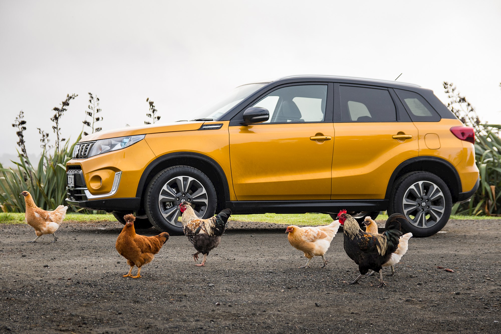 Vitara versus the world: hitting the backroads with Suzuki's - Driven ...