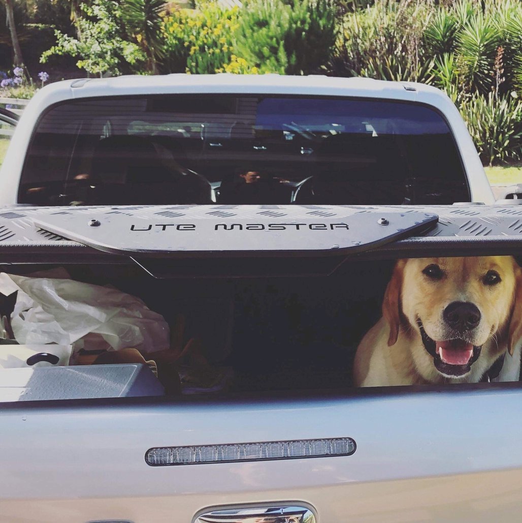 Beaut utes are not just brutes - Driven Car Guide