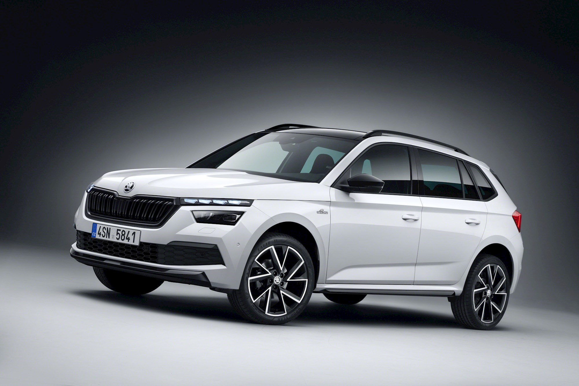 Smallest SUV looks like it will be a big deal for Skoda NZ - Driven Car ...
