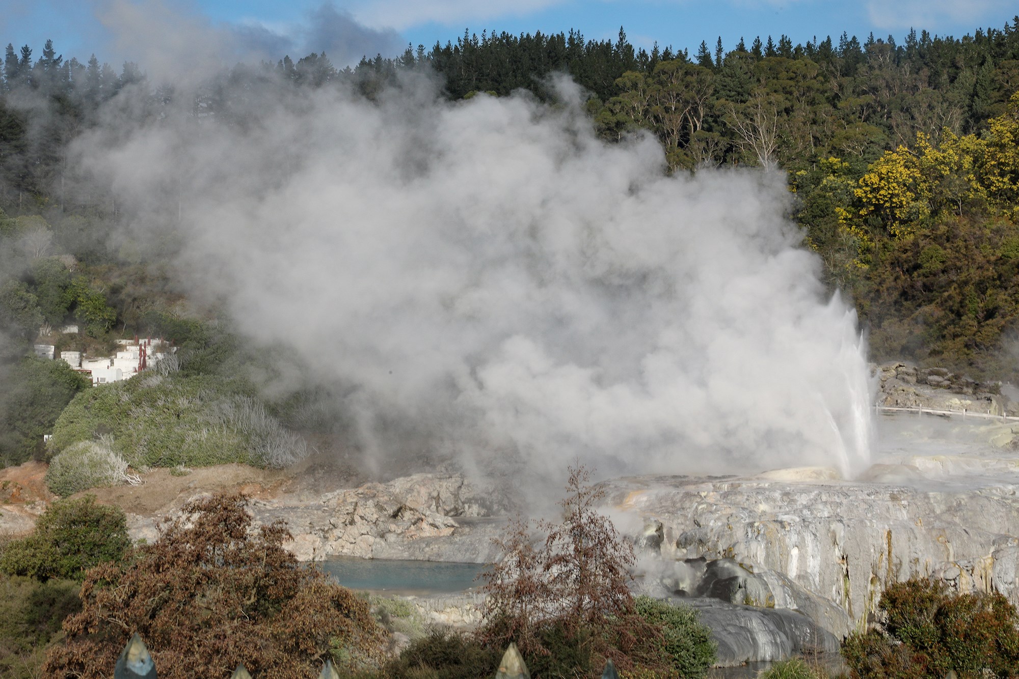SUMMER SPECIAL: Why Rotorua is hot stuff as a holiday destin - Driven ...