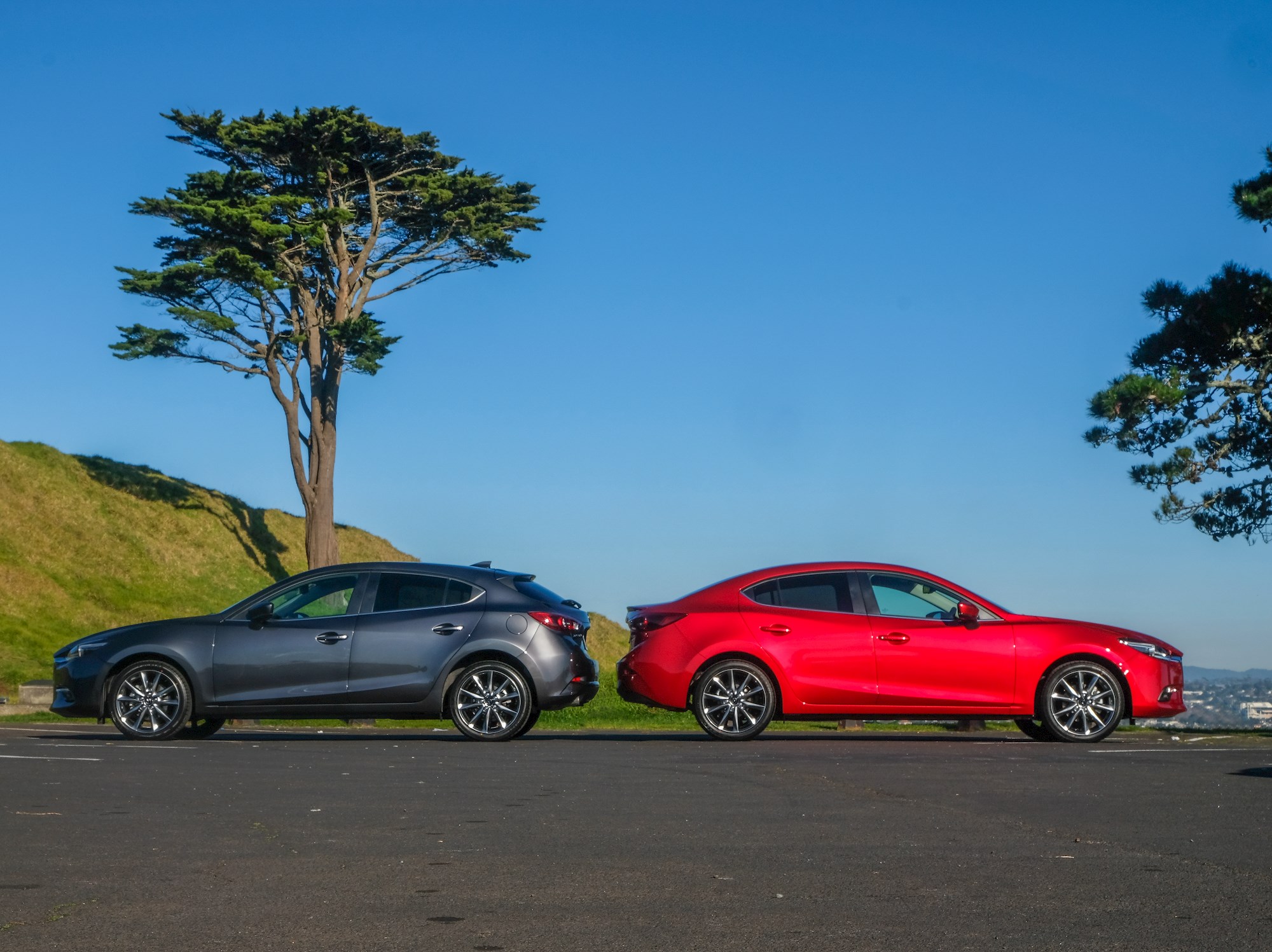 AA Buyer's Guide: Exploring used car trends - Driven Car Guide