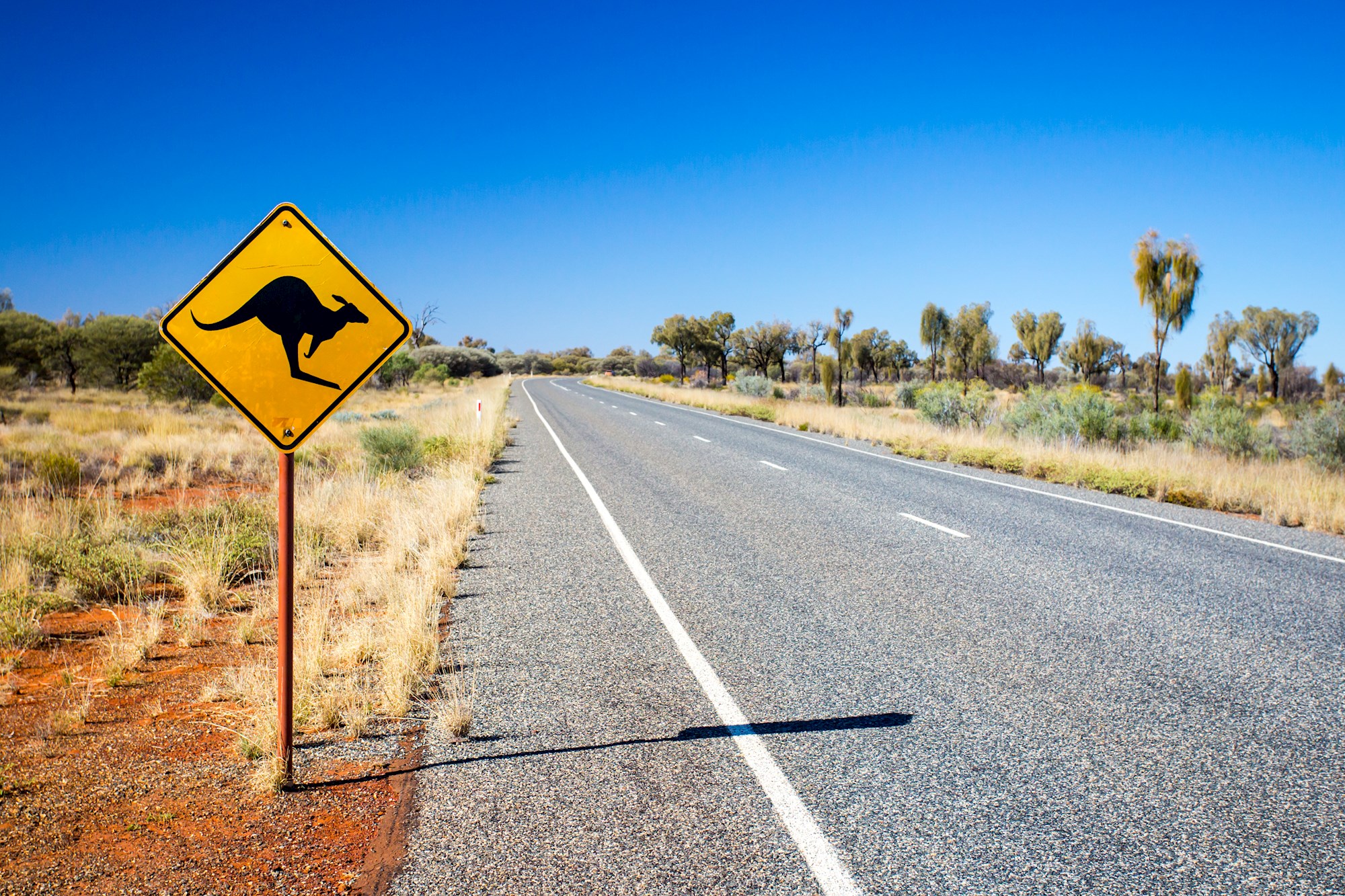 The Australian road sign in Queensland shocks internet - Driven Car Guide