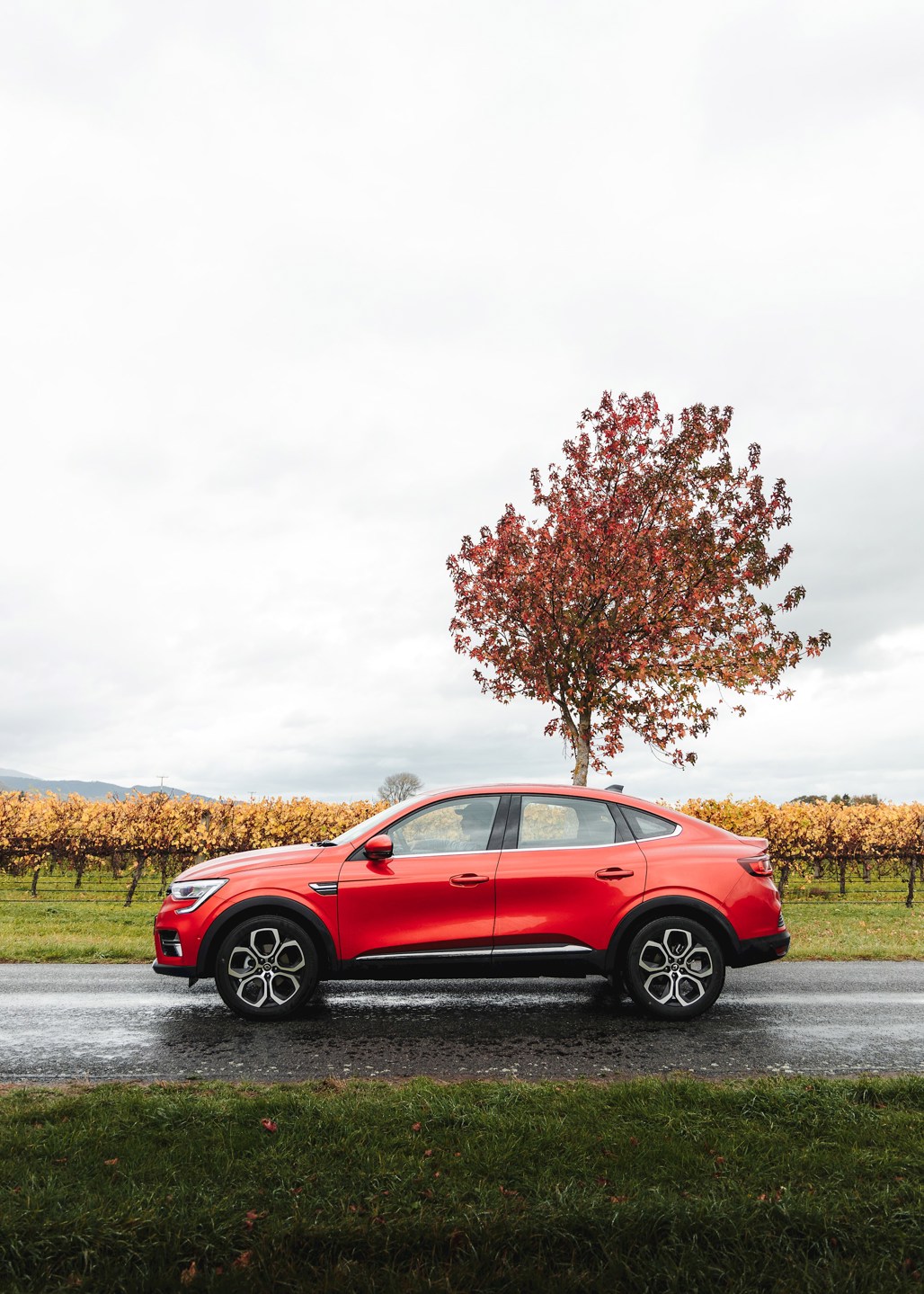 2022 Renault Arkana: Modern day mystery machine - Driven Car Guide