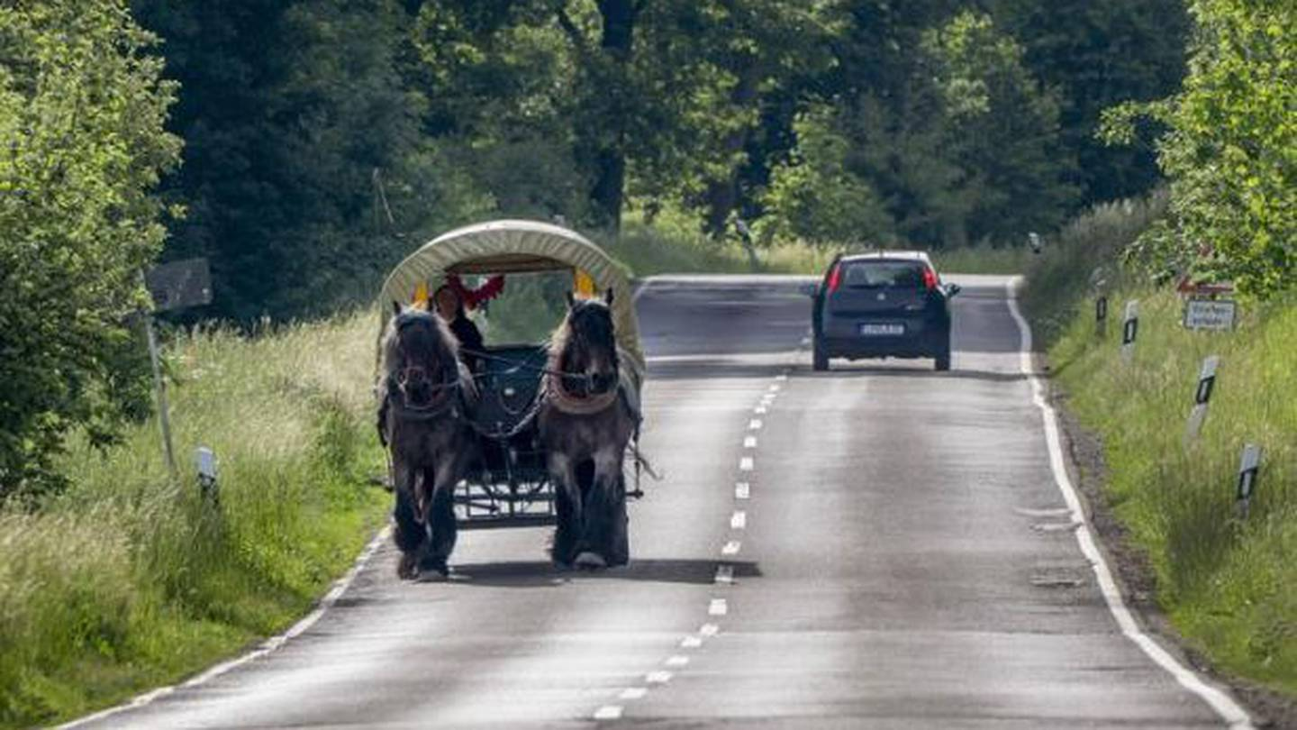 German Farm Owner Saves Fuel Money With Horse Drawn Carriage Driven