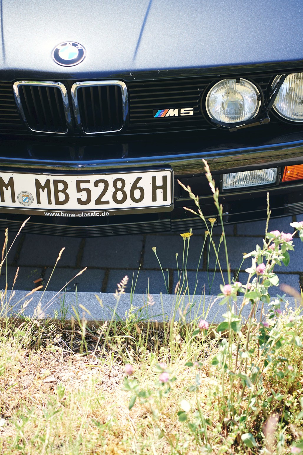 Best of M: driving BMW's iconic M cars in the Munich country - Driven ...