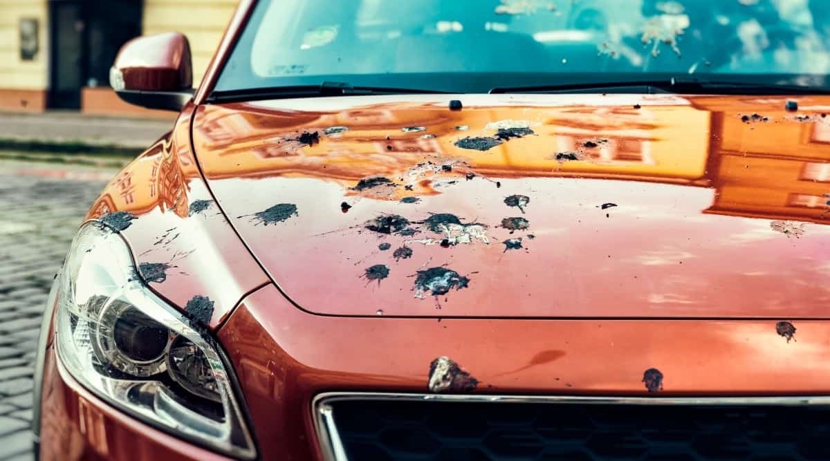 How to protect your paintwork from contaminants - Driven Car Guide