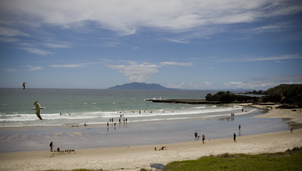 Autumn roadie series: Part three, Matakana area - Driven Car Guide