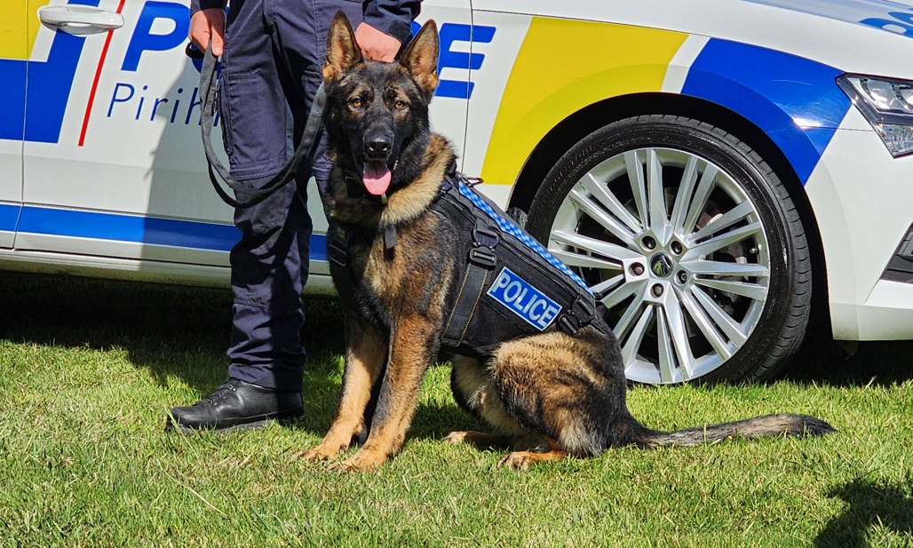 New Skoda dog wagons: NZ Police pooches riding in Superb cli - Driven ...