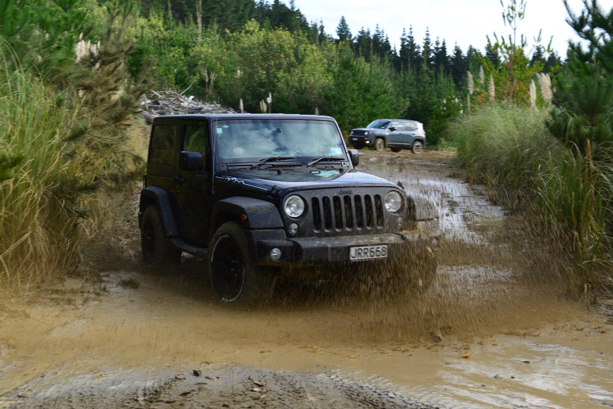 Crooks log on to vehicle theft - Driven Car Guide