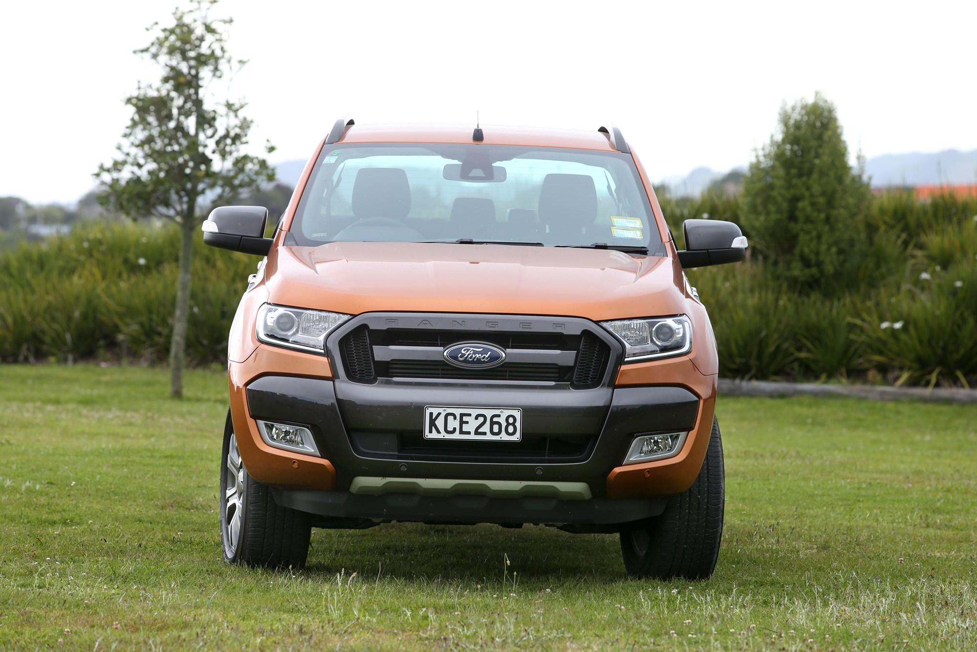 Why are utes so popular? - Driven Car Guide