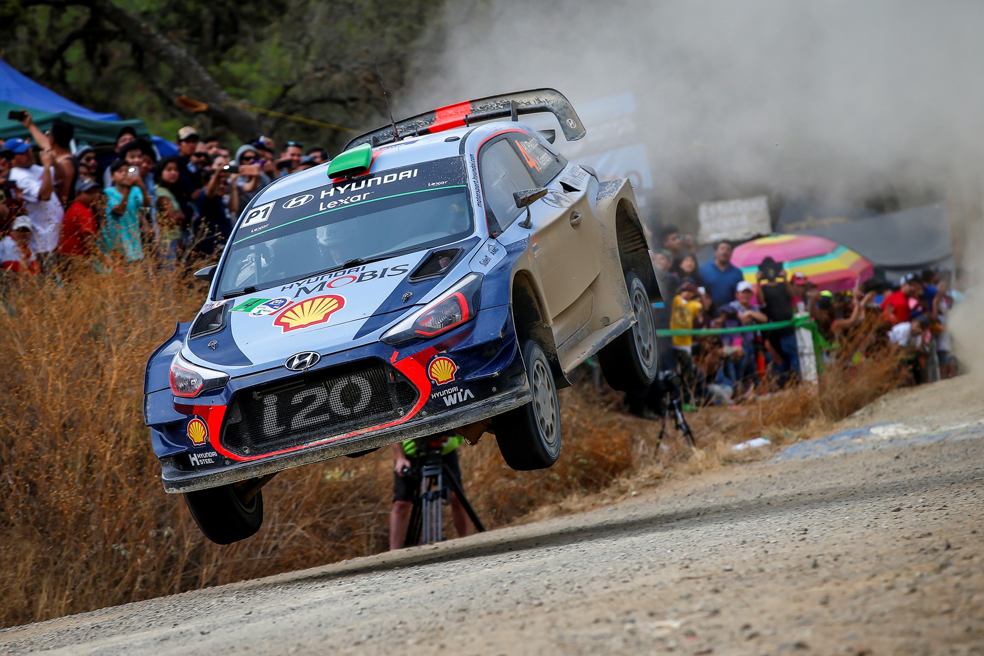 Mikkelsen not a threat to Hayden Paddon's WRC seat - Driven Car Guide