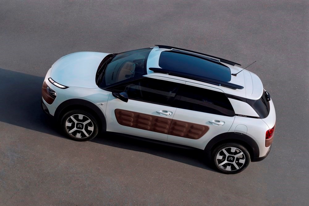 Quirky Cactus about to sprout - Driven Car Guide