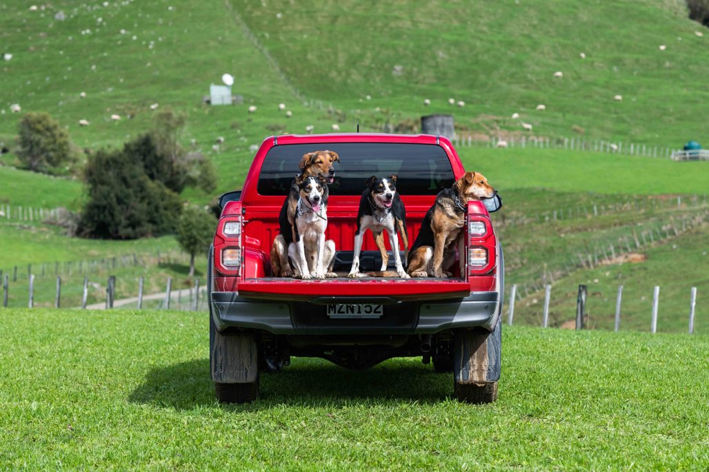 Toyota confirms hybrid Hilux ute for New Zealand - Driven Car Guide