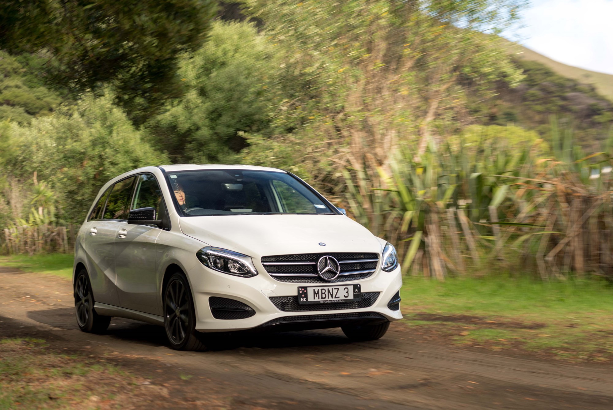 Buyer's Guide: Cost the European downside - Driven Car Guide