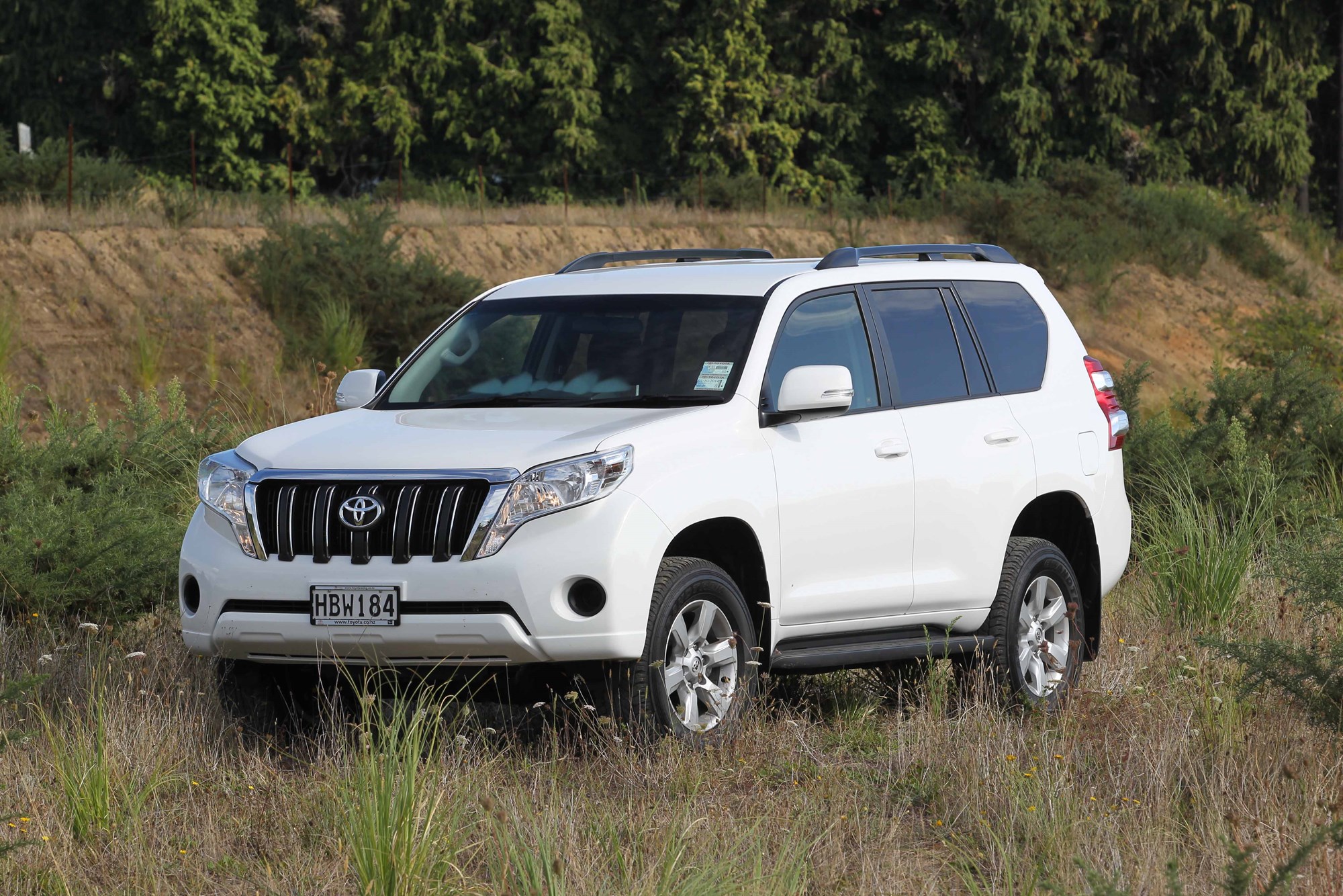 Car Buyer's Guide: All tastes covered - Driven Car Guide