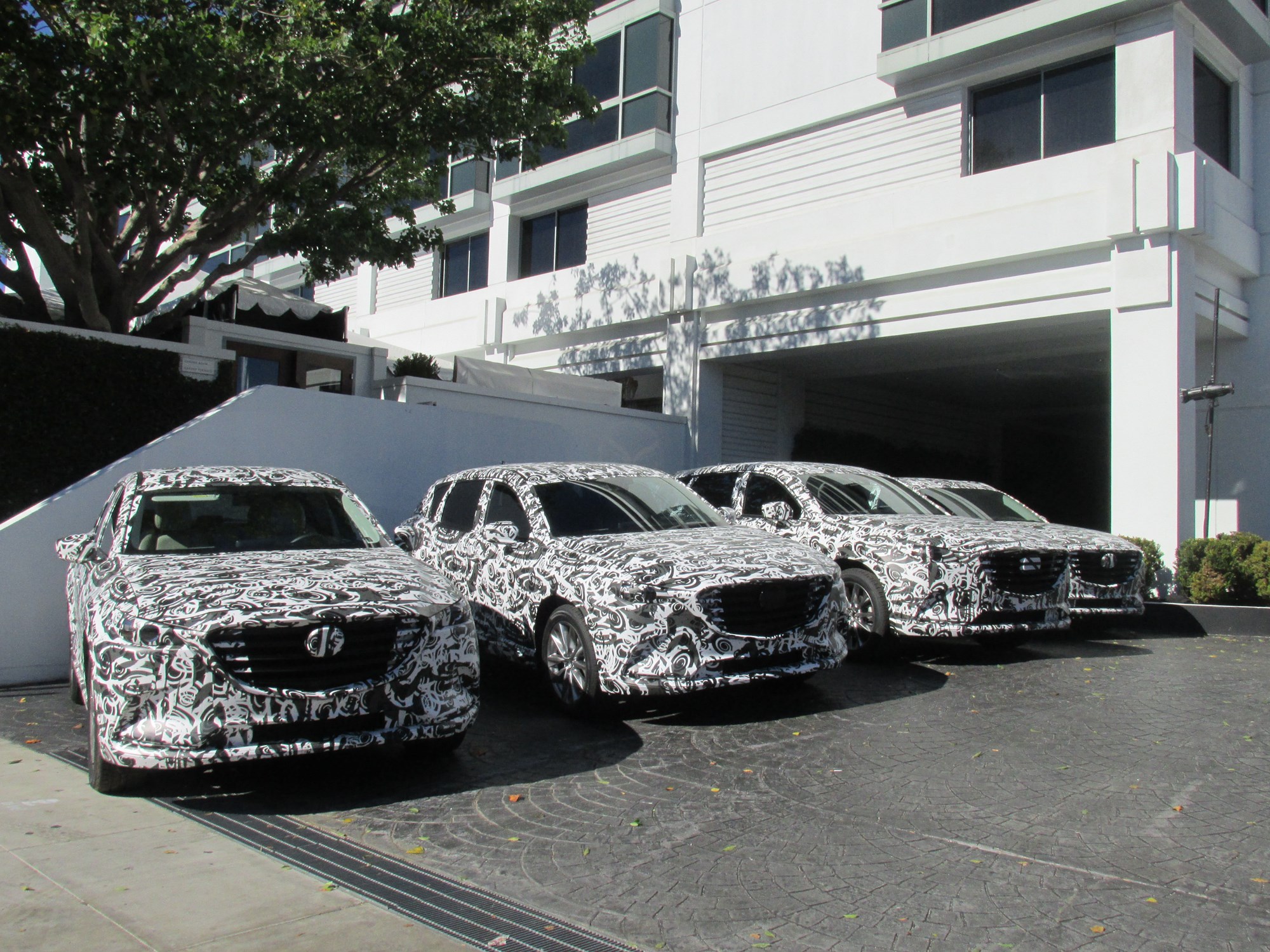 Stalking for a good cause - Driven Car Guide