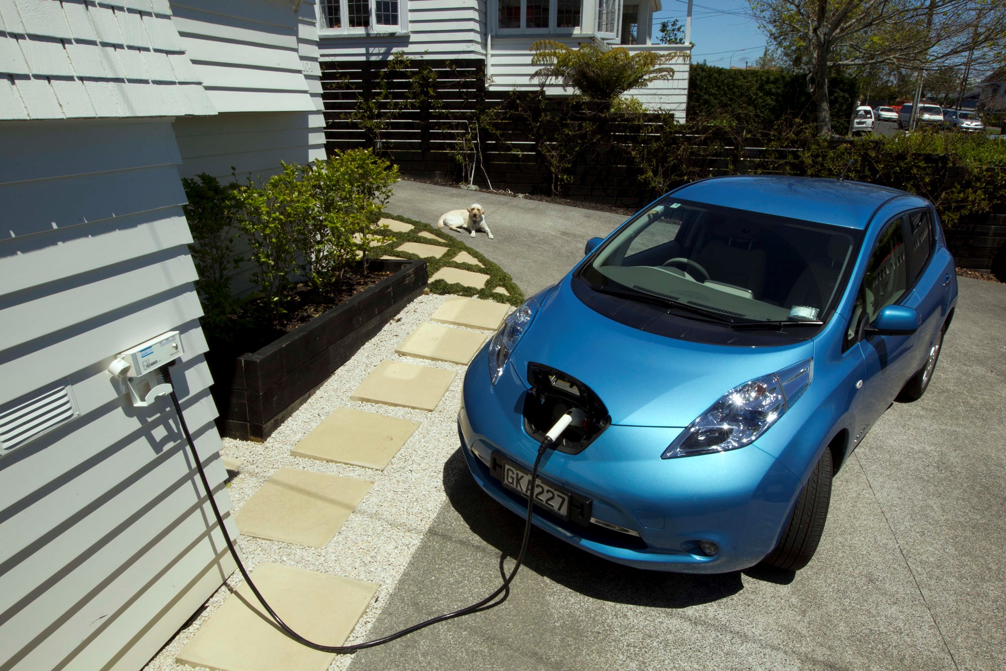 Car Buyer's Guide: Turning over a new leaf - Driven Car Guide