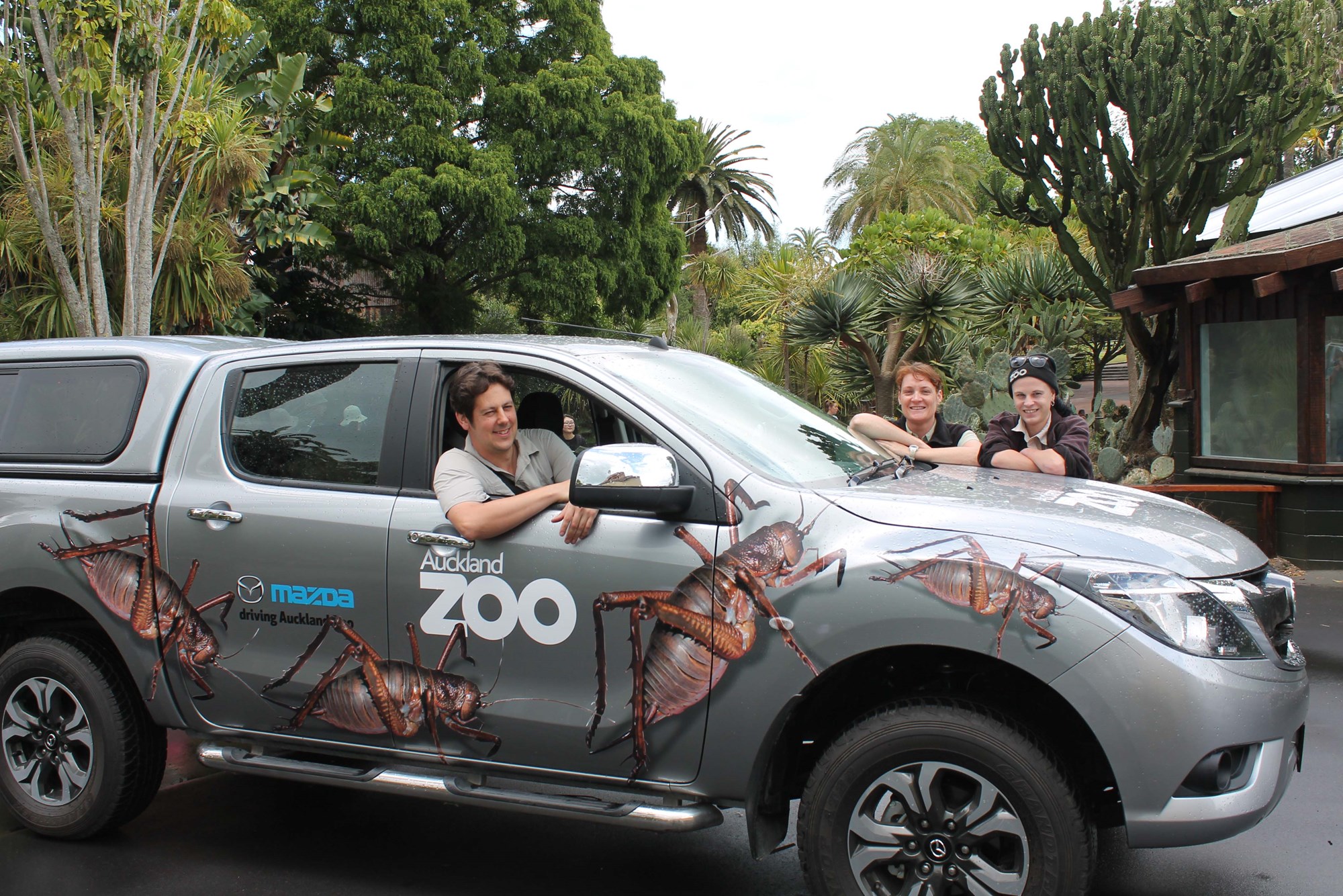 Stylish ride for rare weta - Driven Car Guide