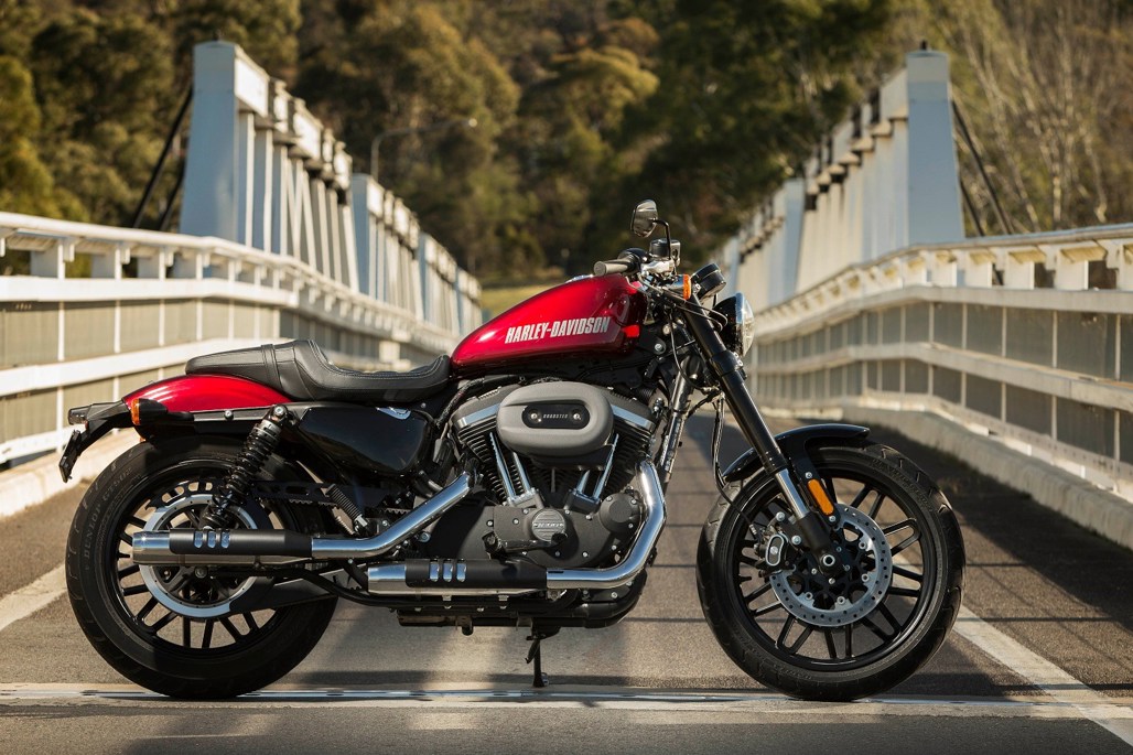 Harley-Davidson Roadster a magnet for young ’uns - Driven Car Guide