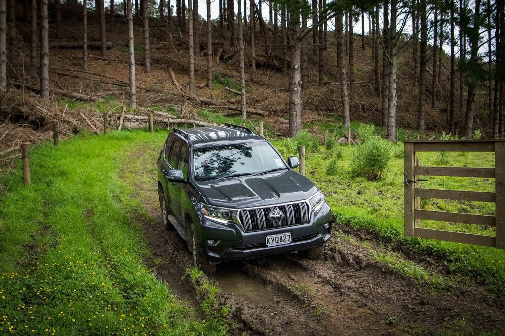 Buyers' Guide: 4WD vs AWD: What’s the difference? - Driven Car Guide