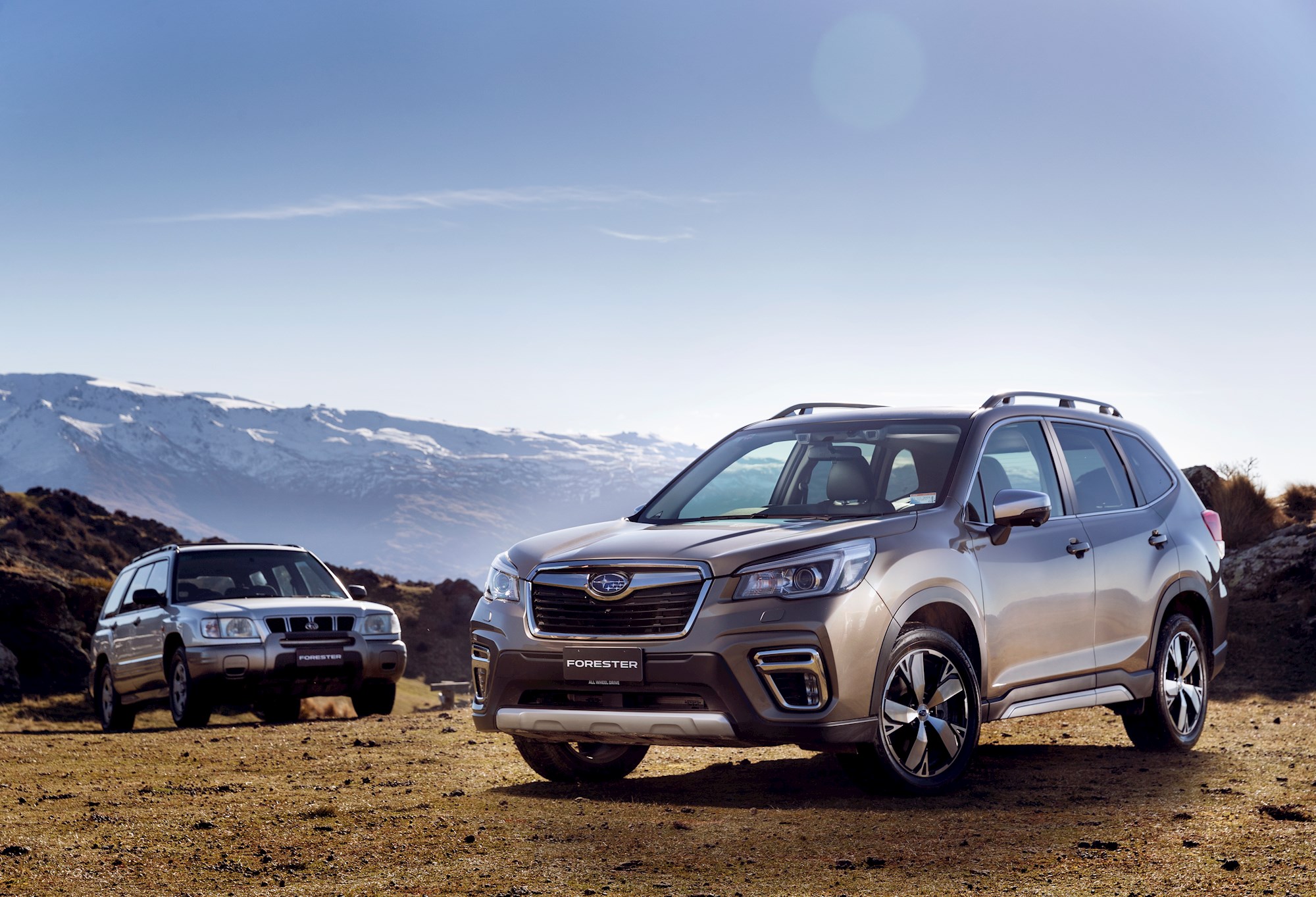 Can-do attitude for Forester - Driven Car Guide
