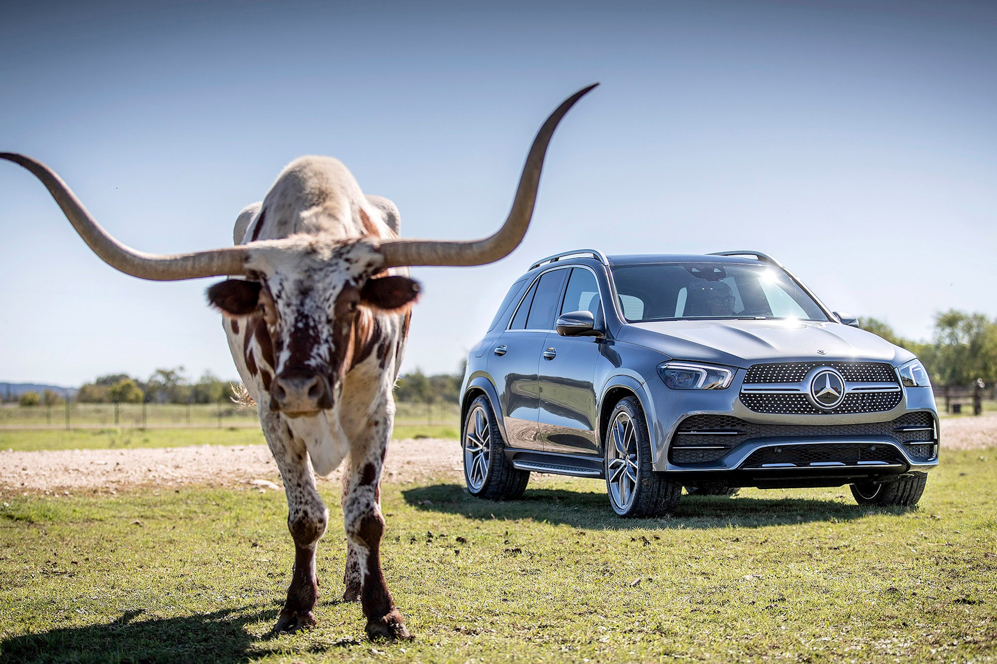 Yeehaw, Mercedes-Benz launches all-new GLE SUV in Texas - Driven Car Guide