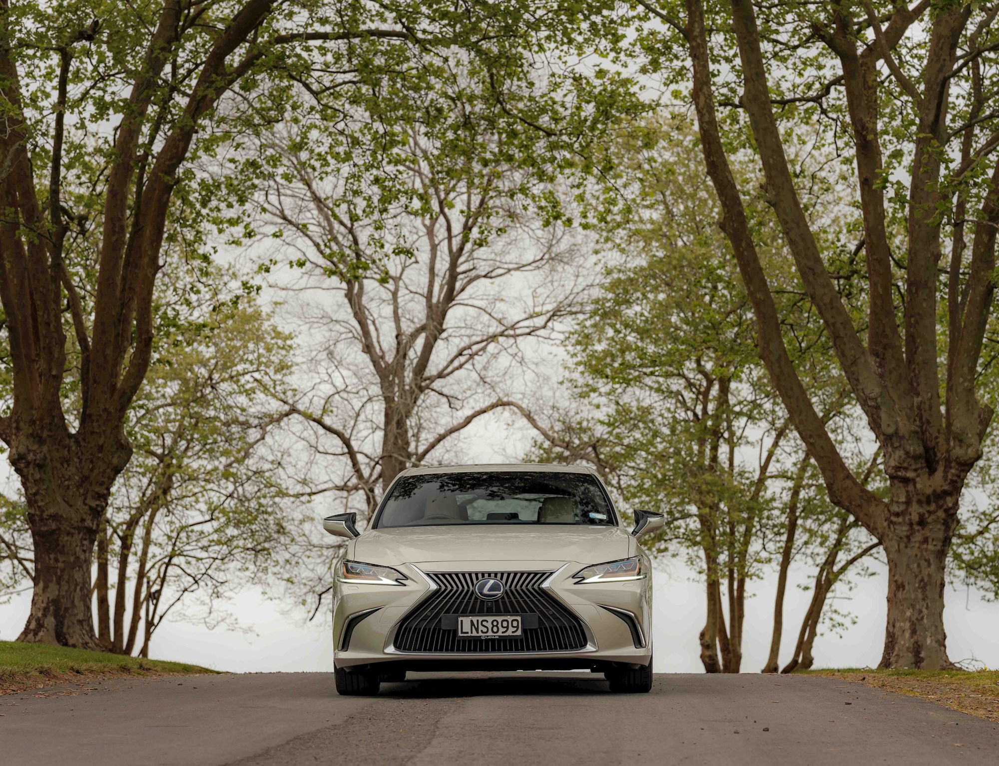 Lexus New Zealand celebrates record sales - Driven Car Guide Lexus New Zealand celebrates record sales - Driven Car Guide