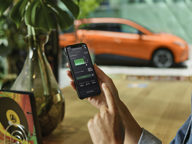 Watch: Lawson takes on Verstappen in wild Japanese game show - Driven Car Guide