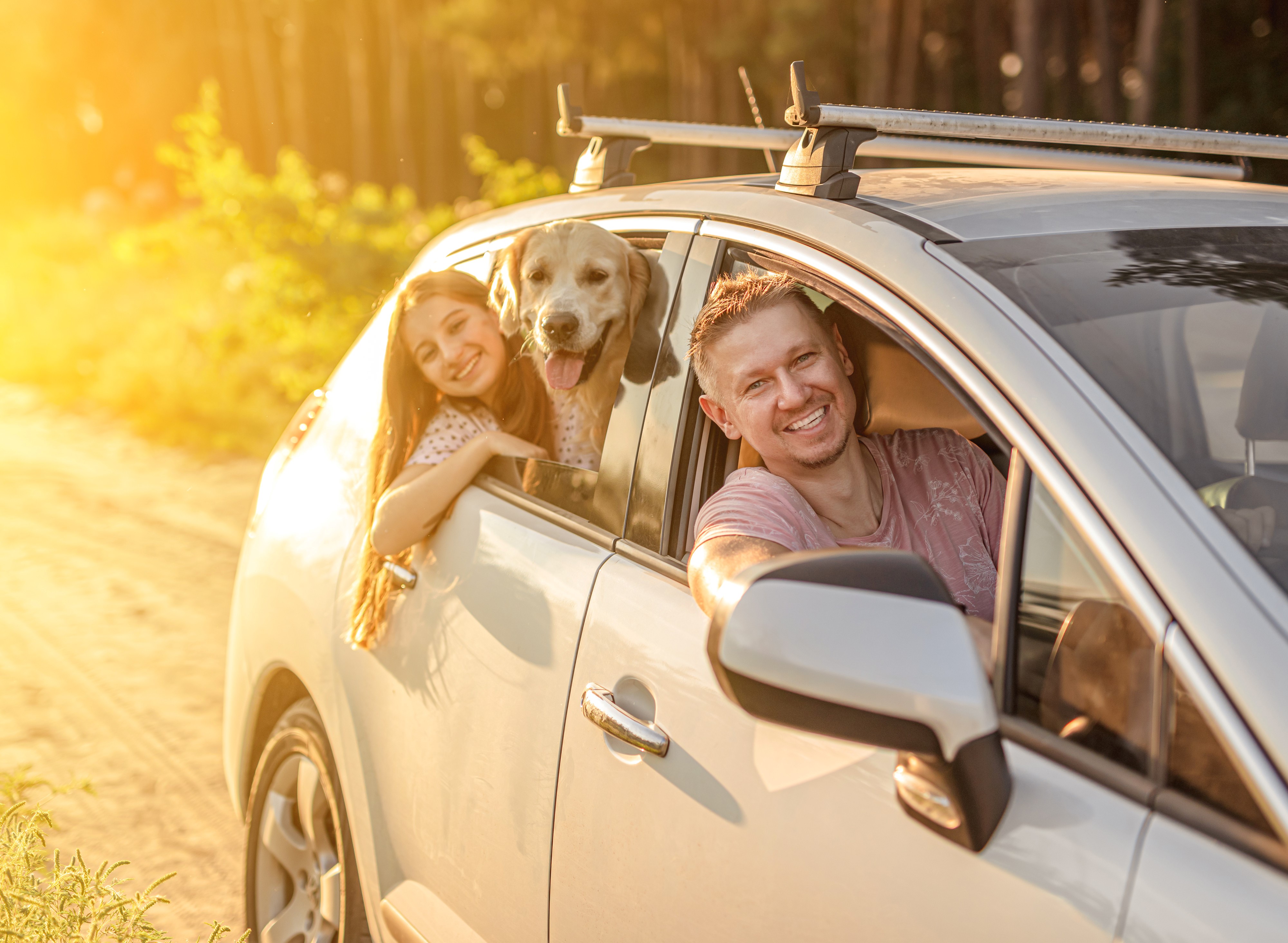 Welcome (back) to DRIVEN Car Guide: our biggest evolution since launch ...