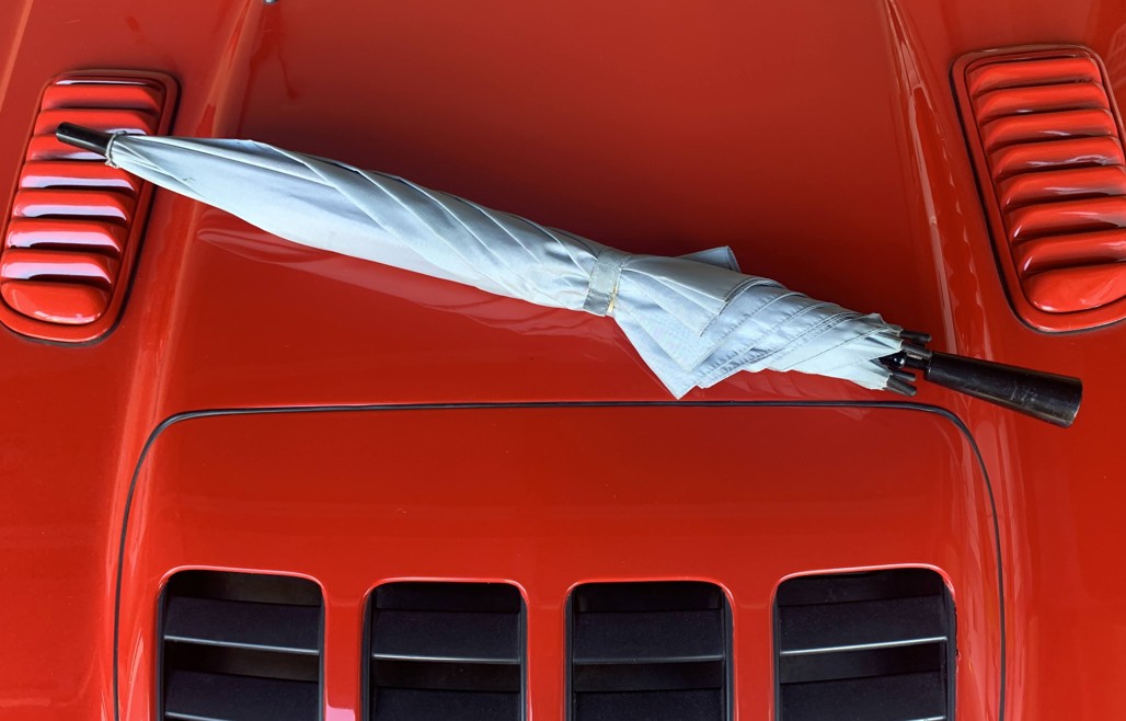 Which car was fitted with an umbrella - Driven Car Guide